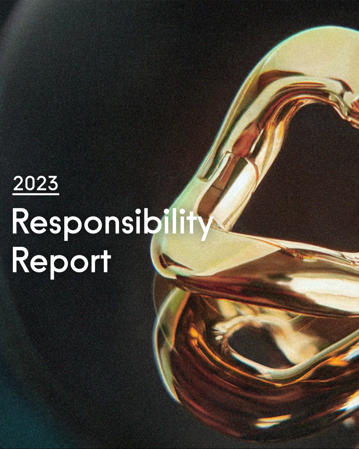 Responsibility - Tom Wood Project Official Online Store