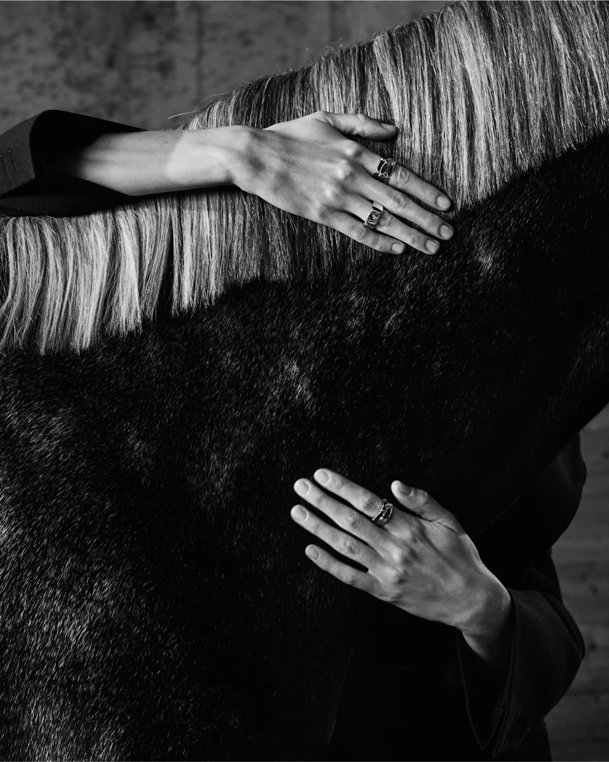 Tom Wood Project Official Online Store