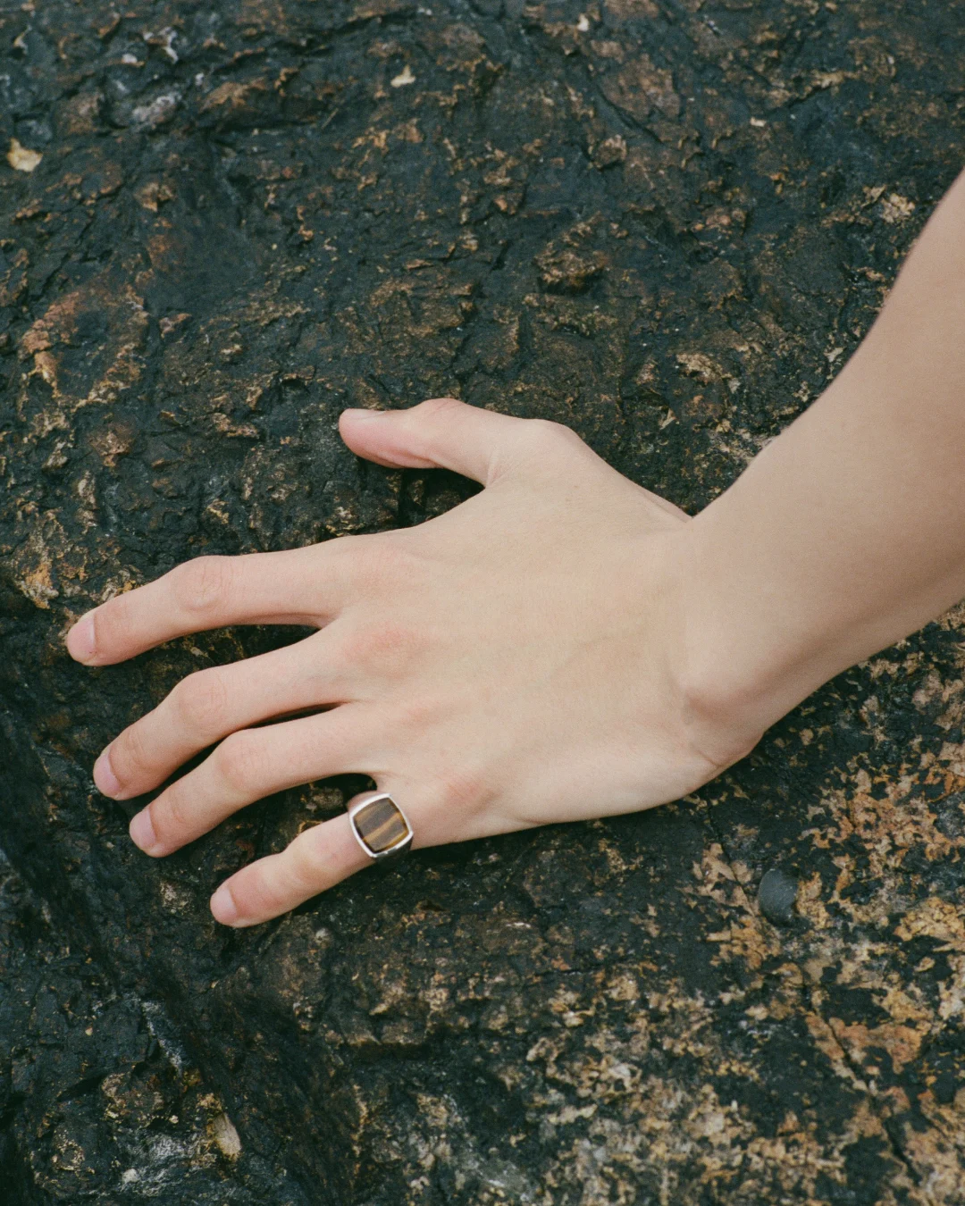 Tom Wood Project Official Online Store