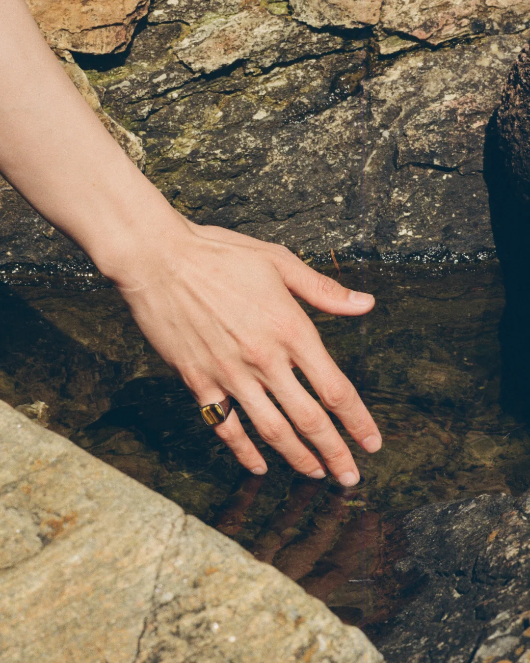 Tom Wood Project Official Online Store