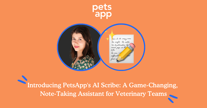 Blog | PetsApp