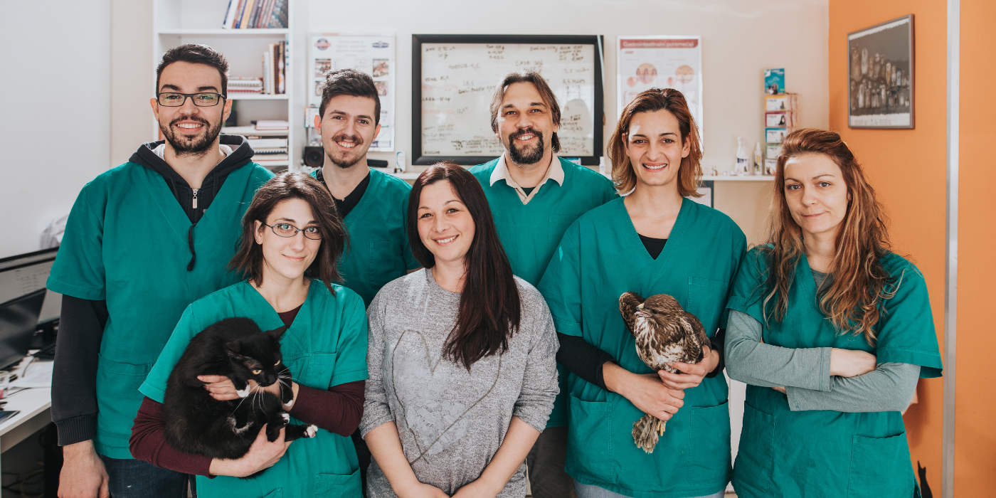 This is what your veterinary team is looking for | PetsApp Blog