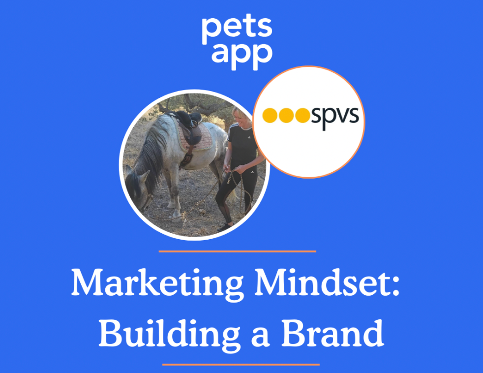 The Best Veterinary PMS for Your Team | PetsApp Blog