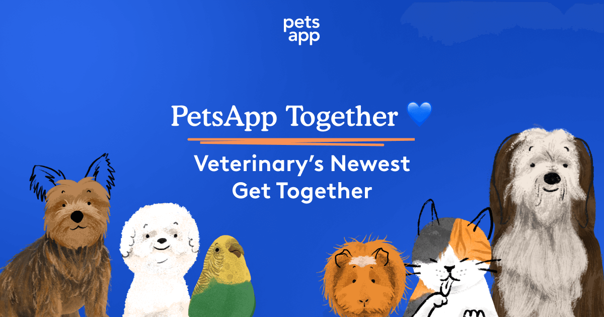 PetsApp Together: Veterinary's Newest Get Together | PetsApp Blog