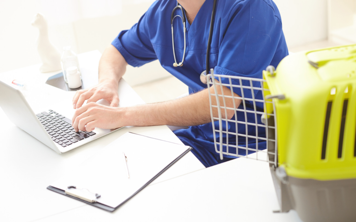 How to choose a PMS for your veterinary clinic | PetsApp Blog