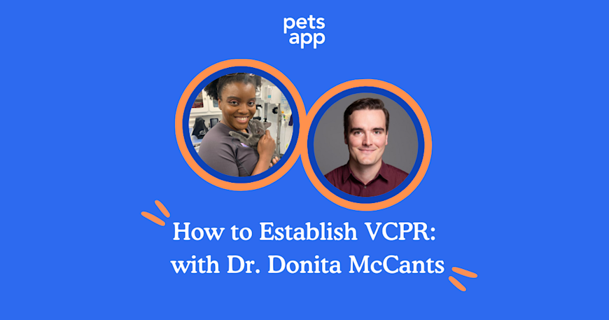 How to Establish VCPR with Dr. Donita McCants | PetsApp Blog