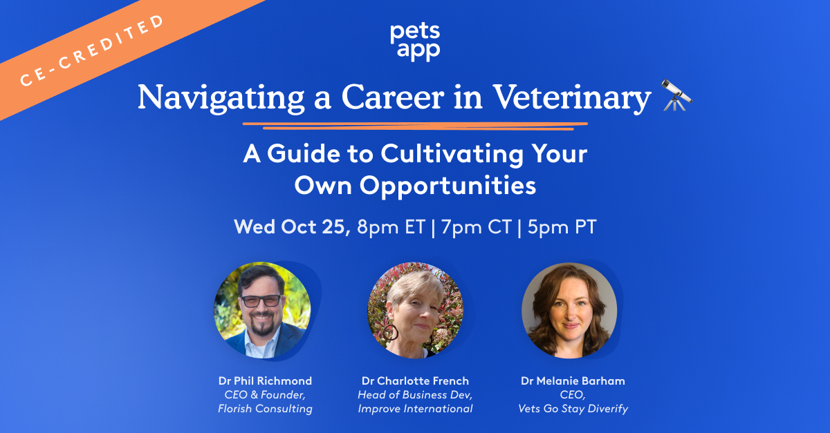 Navigating a Career in Veterinary: A Guide to Cultivating Your Own ...