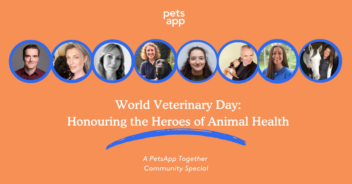 World Veterinary Day: Honouring the Heroes of Animal Health | PetsApp Blog