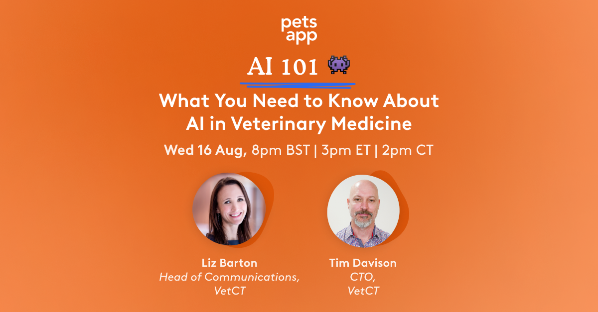AI 101: What You Need to Know About AI in Veterinary Medicine 👾 ...