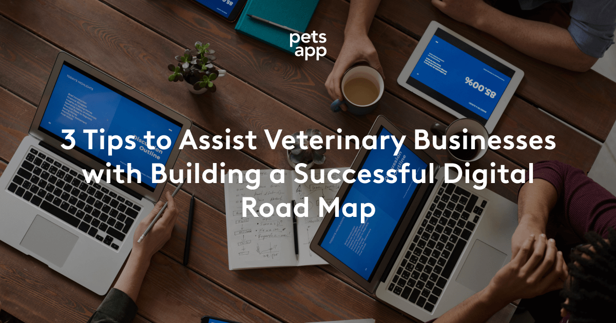 3 Tips to Assist Veterinary Businesses with Building a Successful ...