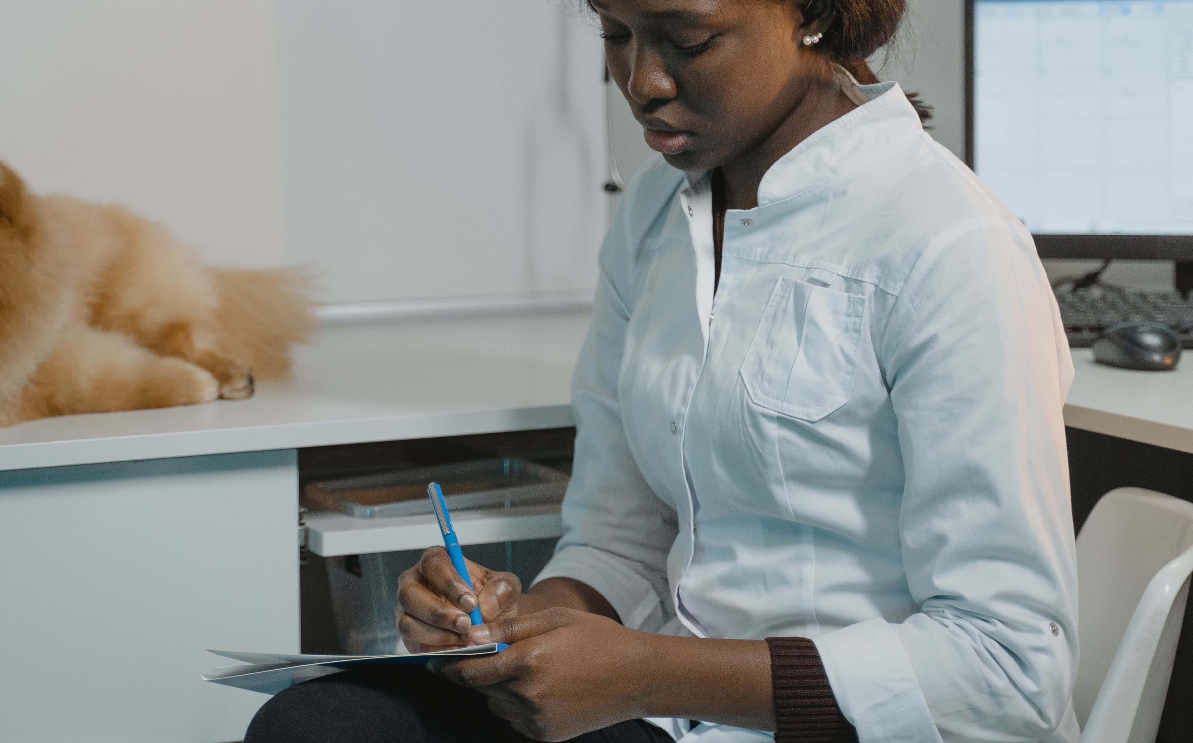 The 6 P's for starting a new veterinary practice | PetsApp Blog