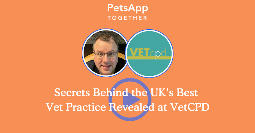 The Best Veterinary PMS for Your Team | PetsApp Blog