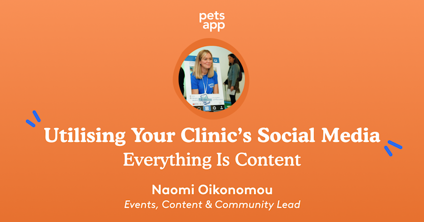 Utilising Your Clinic’s Social Media: Everything is Content | PetsApp Blog