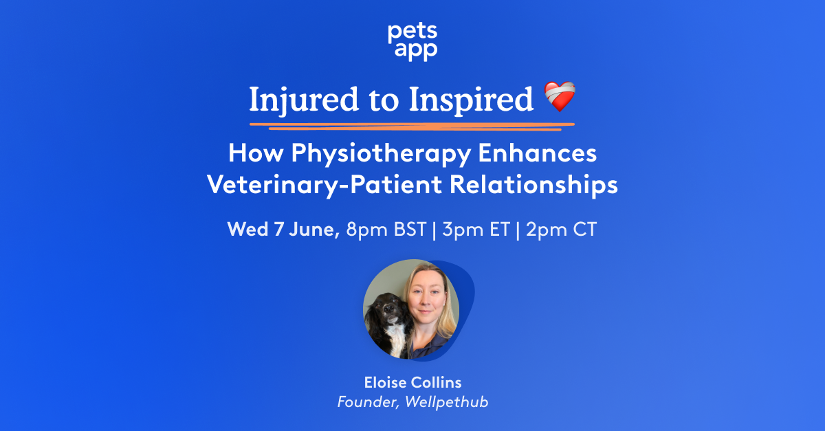 Injured to Inspired: How Physiotherapy Enhances Veterinary-Patient ...