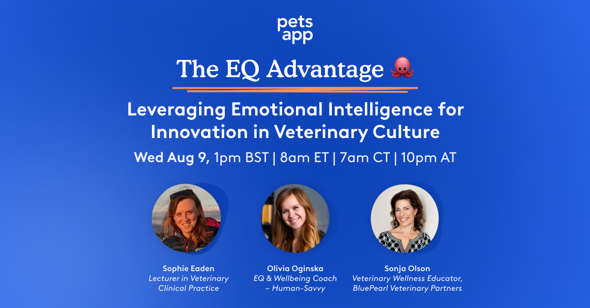 The EQ Advantage: Leveraging Emotional Intelligence for Innovation in ...