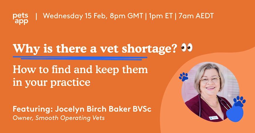 Why is there a vet shortage? How to find and keep them in your practice ...