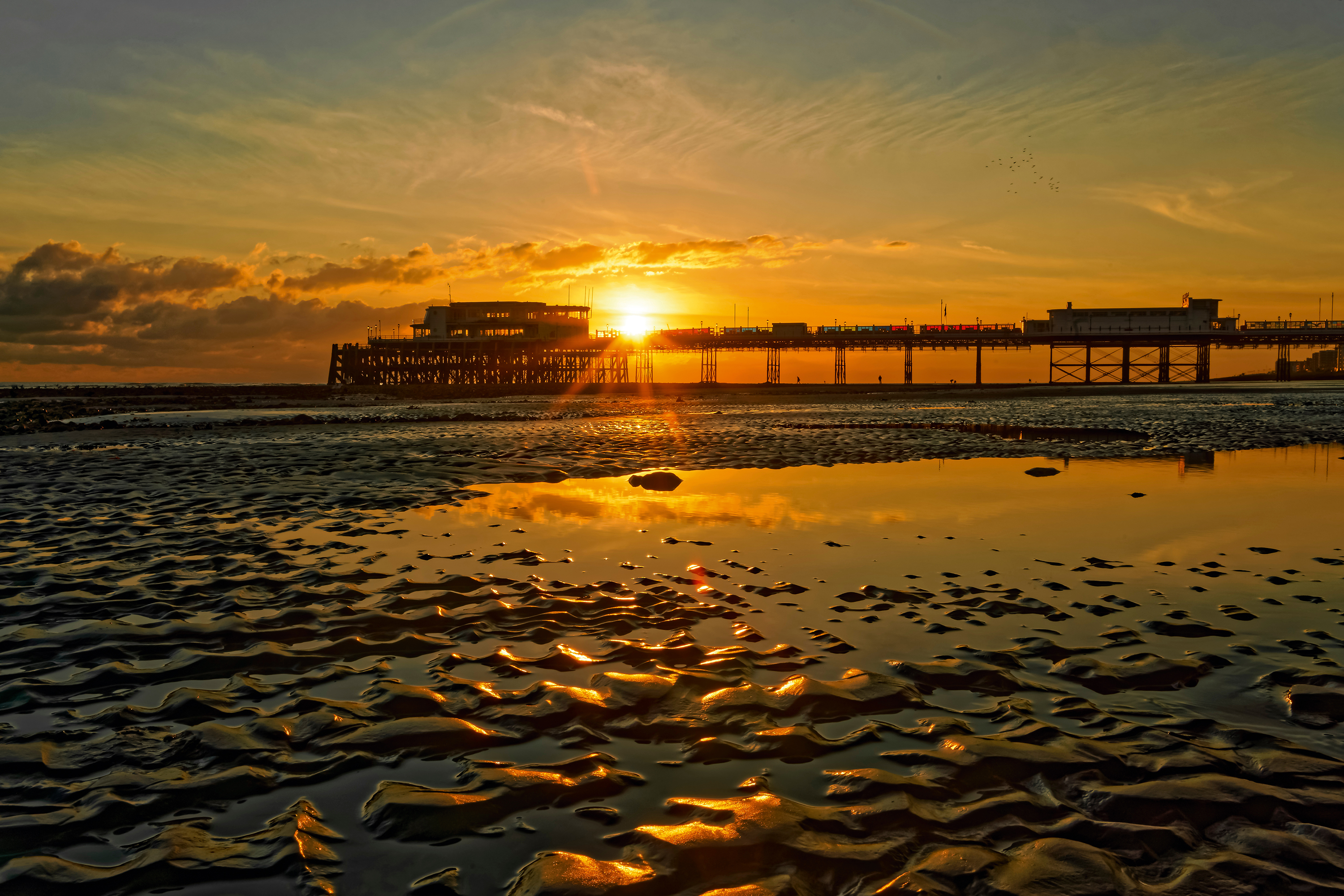 Things to do in Worthing, Sussex | Haven