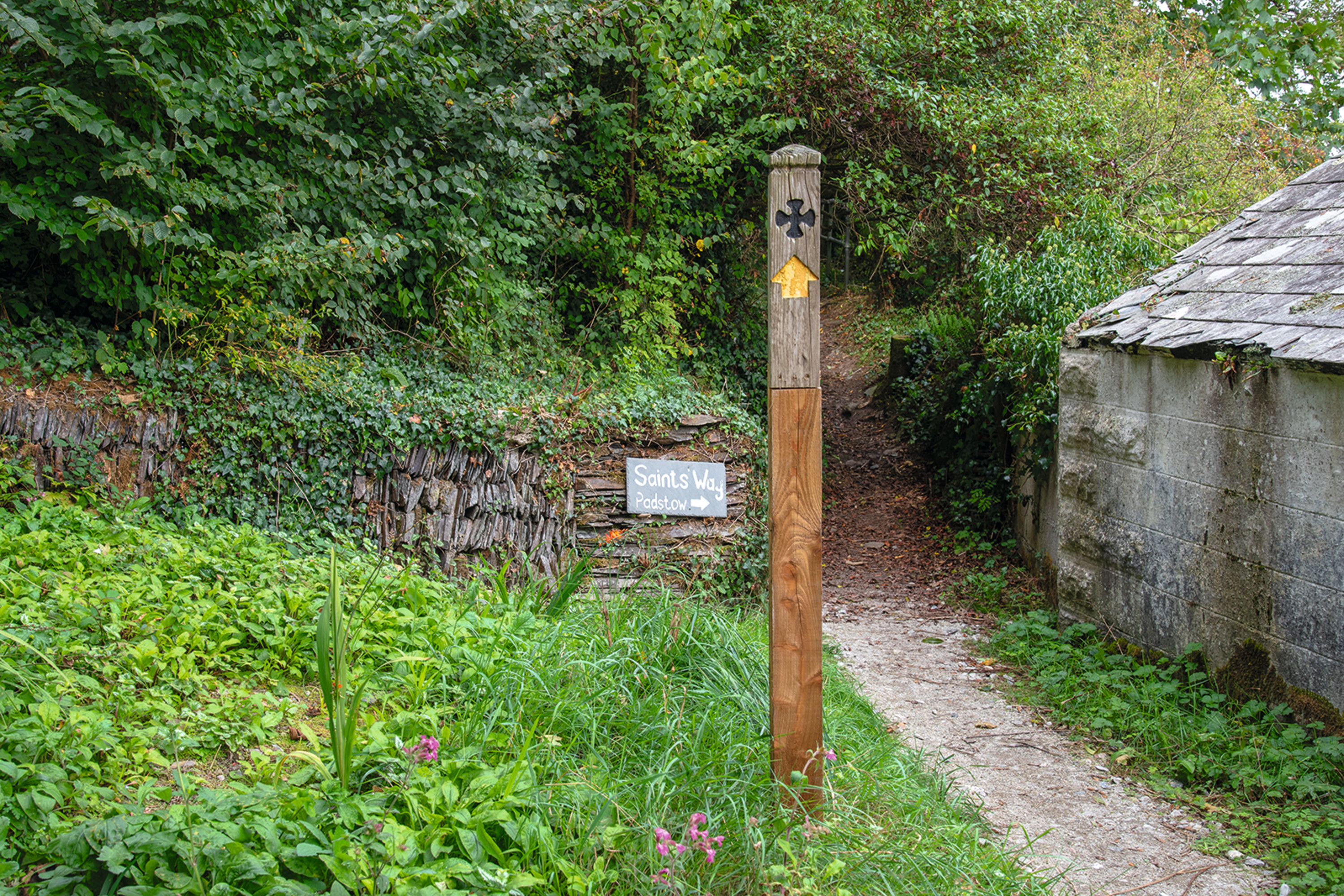 What’s on in Cornwall 2024 | Haven