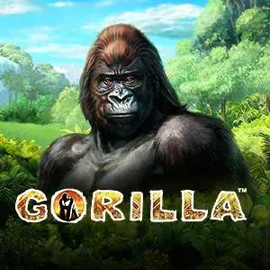 Gorilla Casino Game