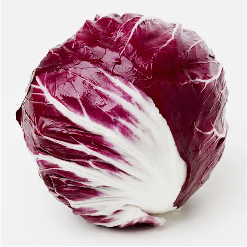 Exploring the Rich Heritage of Radicchio Varieties in Veneto, Italy | PRIOR