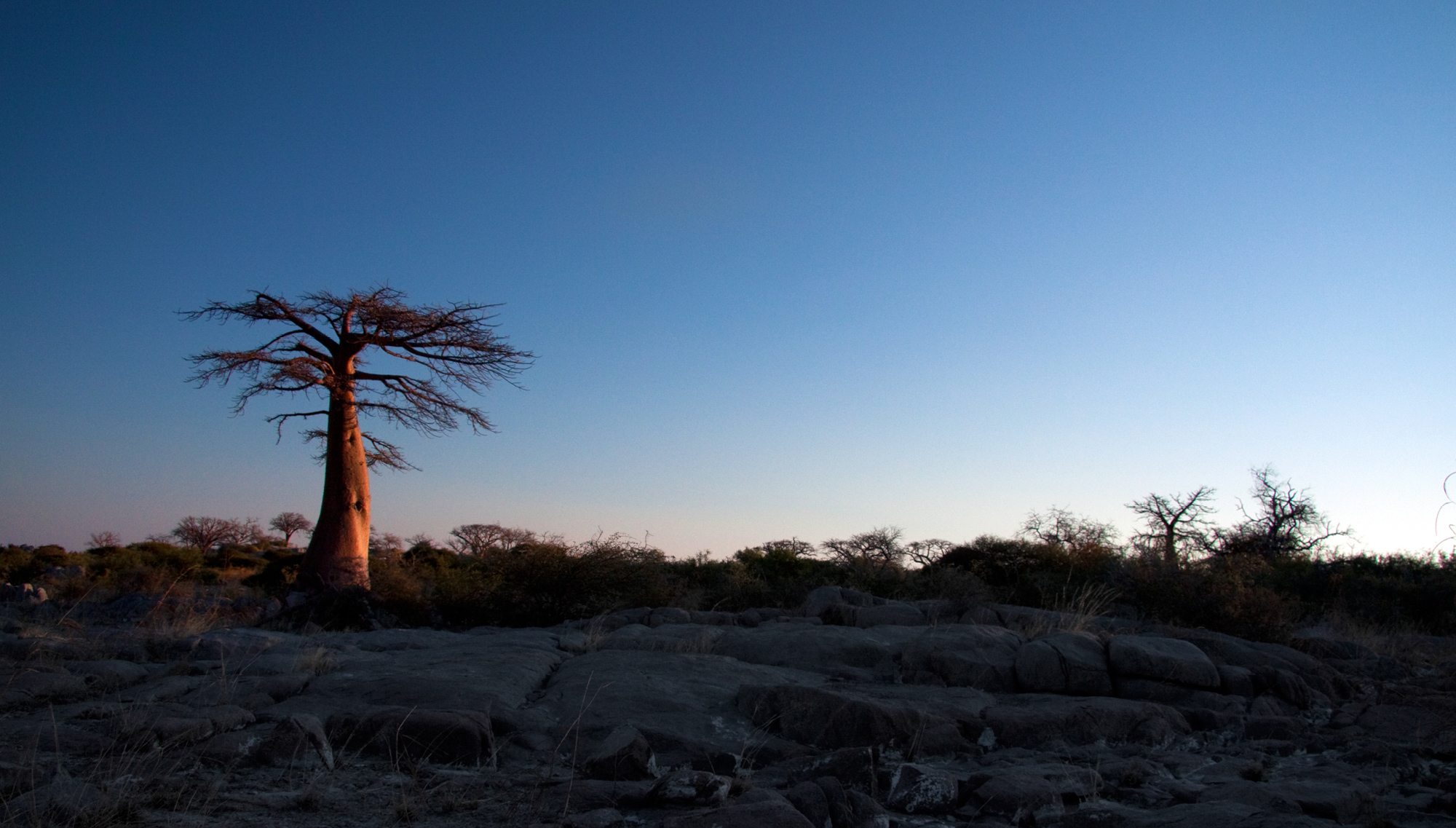 Prior - Destinations: Sub-Saharan Africa