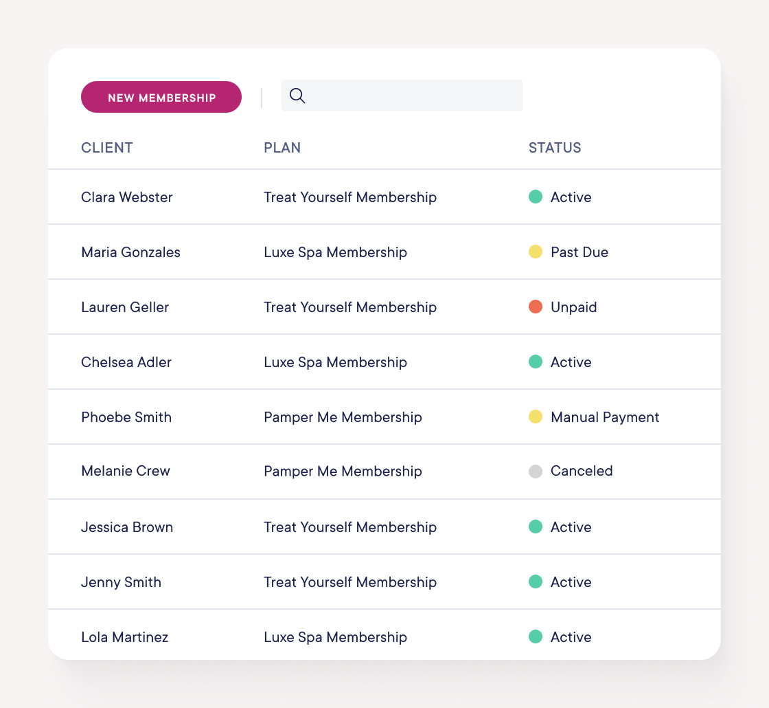 Highest-Rated Spa Software | Mangomint