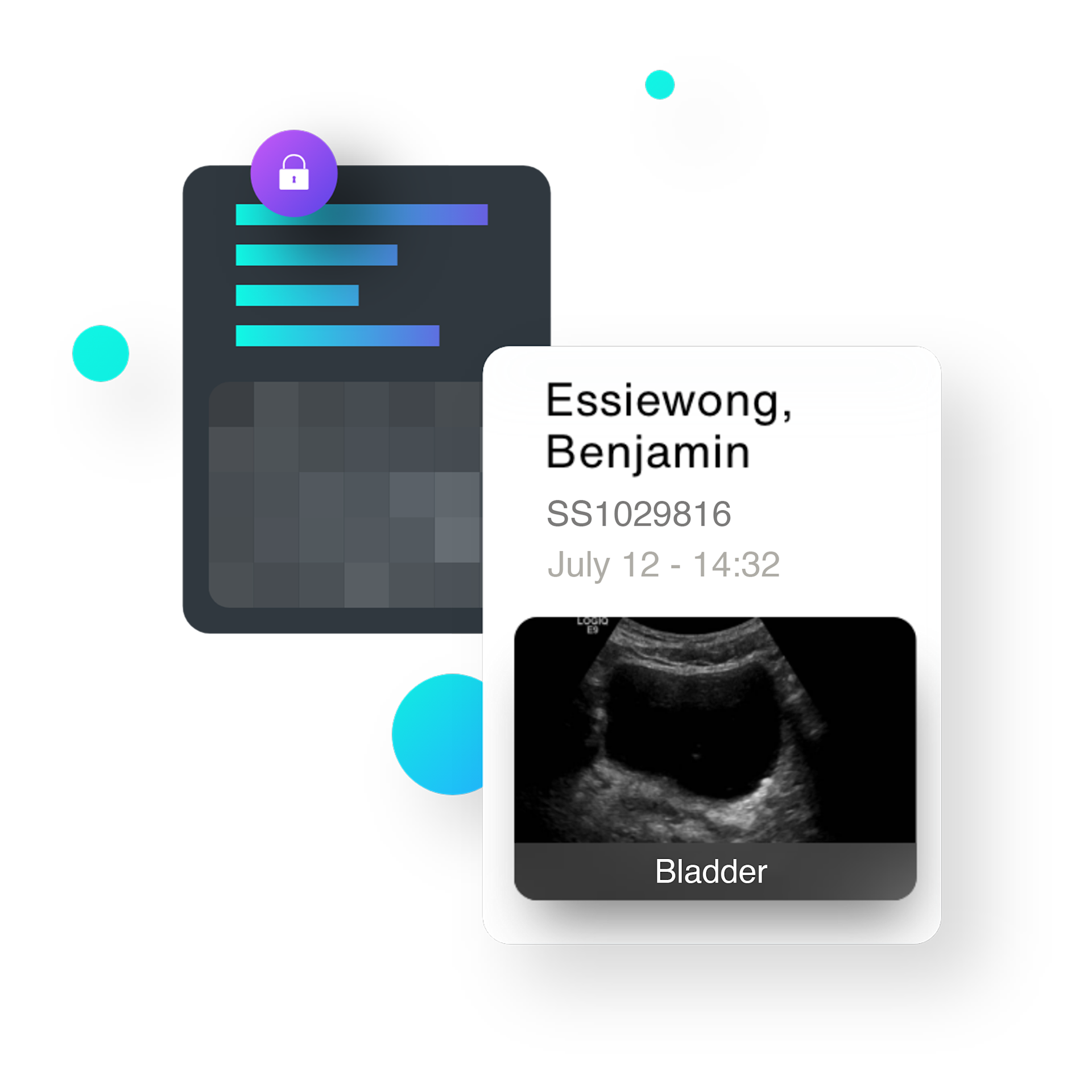 Ultrasound Workflow | Exo Works