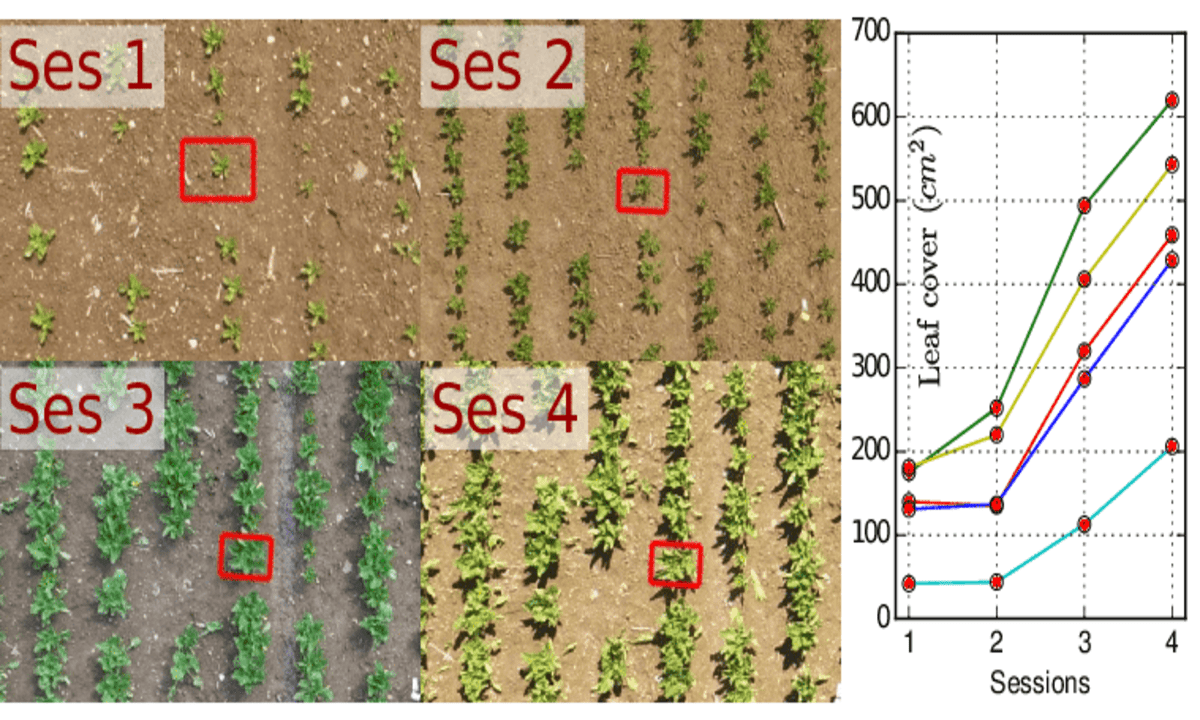 Monitoring Crop Growth.