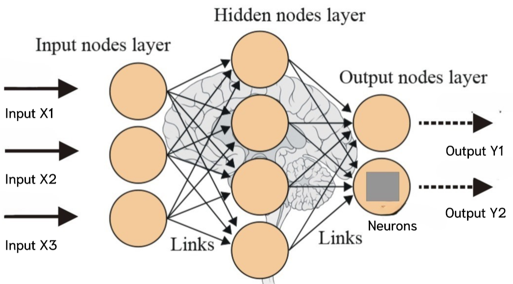 Neural Networks in Computer Vision.