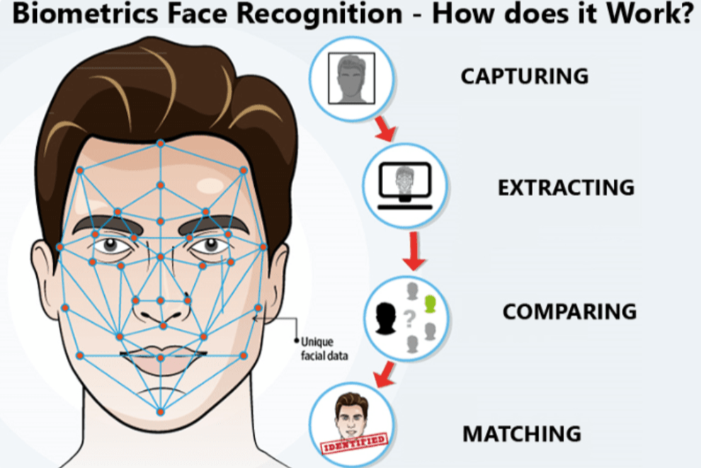 Elements of Face Recognition.