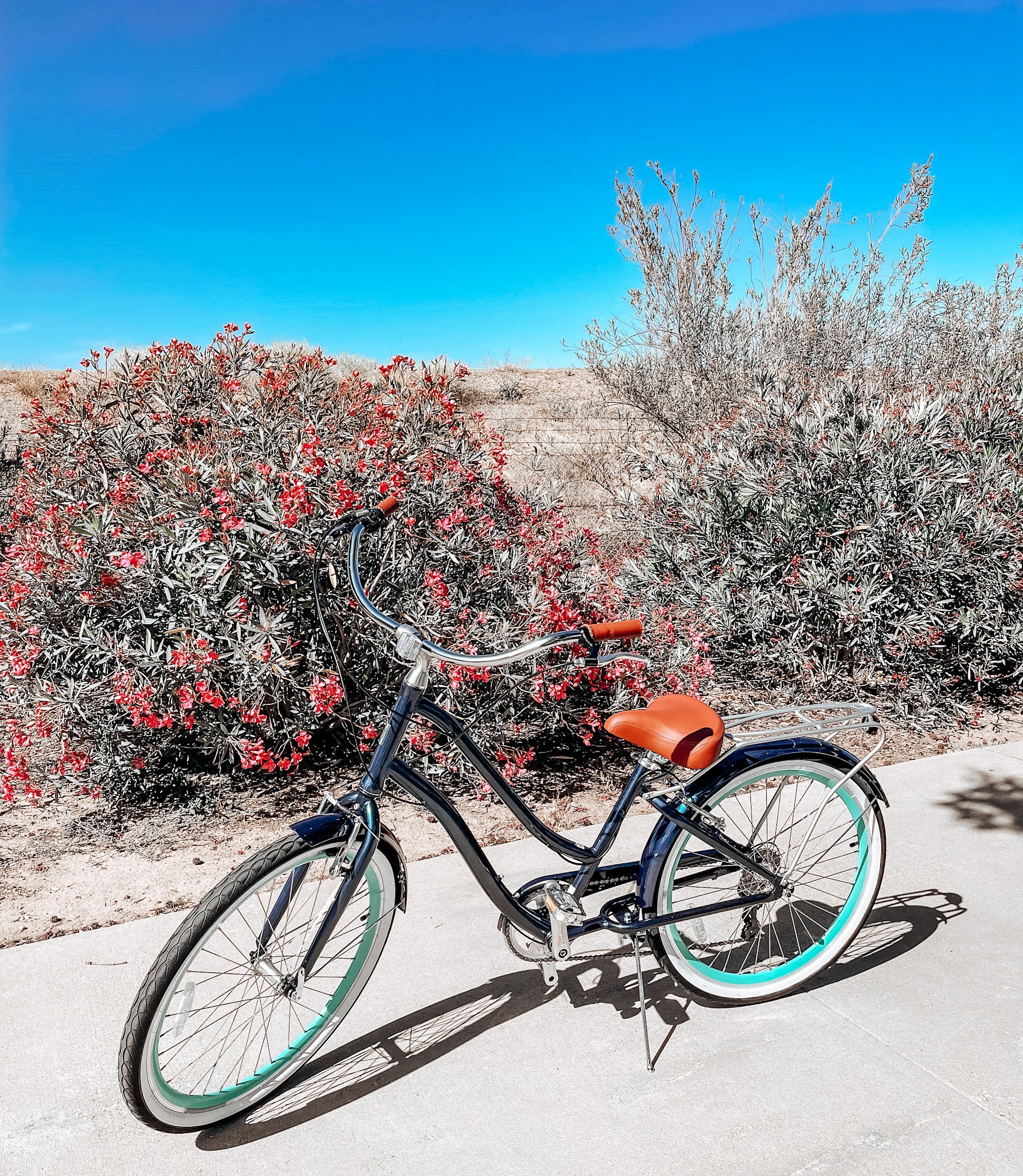 Protect Your Bike and E-Bike from Rust | Essential Maintenance Tips