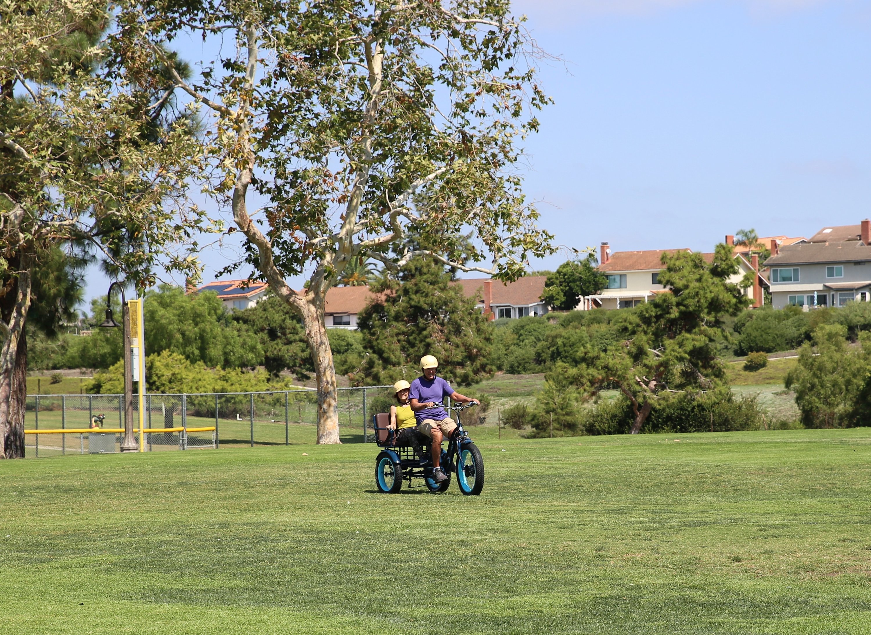 Safety First: EVRYjourney Electric Tricycle Rickshaw 750W with ...