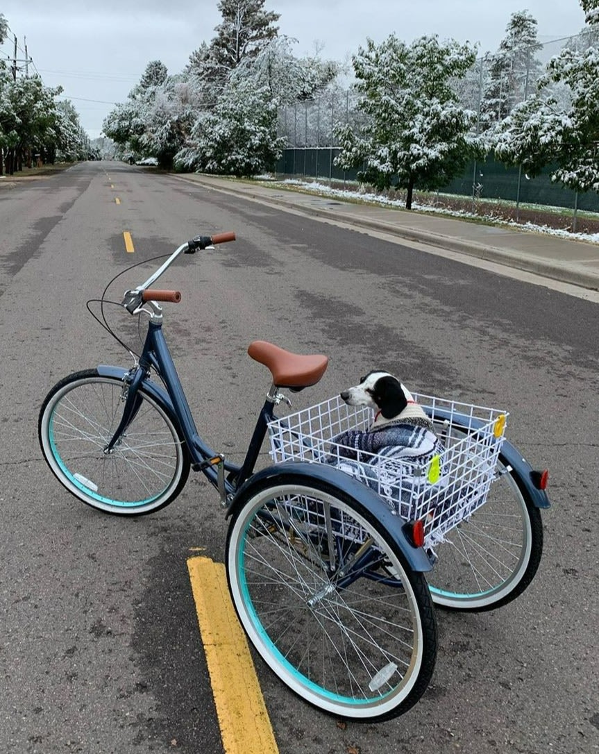 2022 Top 5 Best Bikes for Seniors over 60 | Bicycles for Seniors