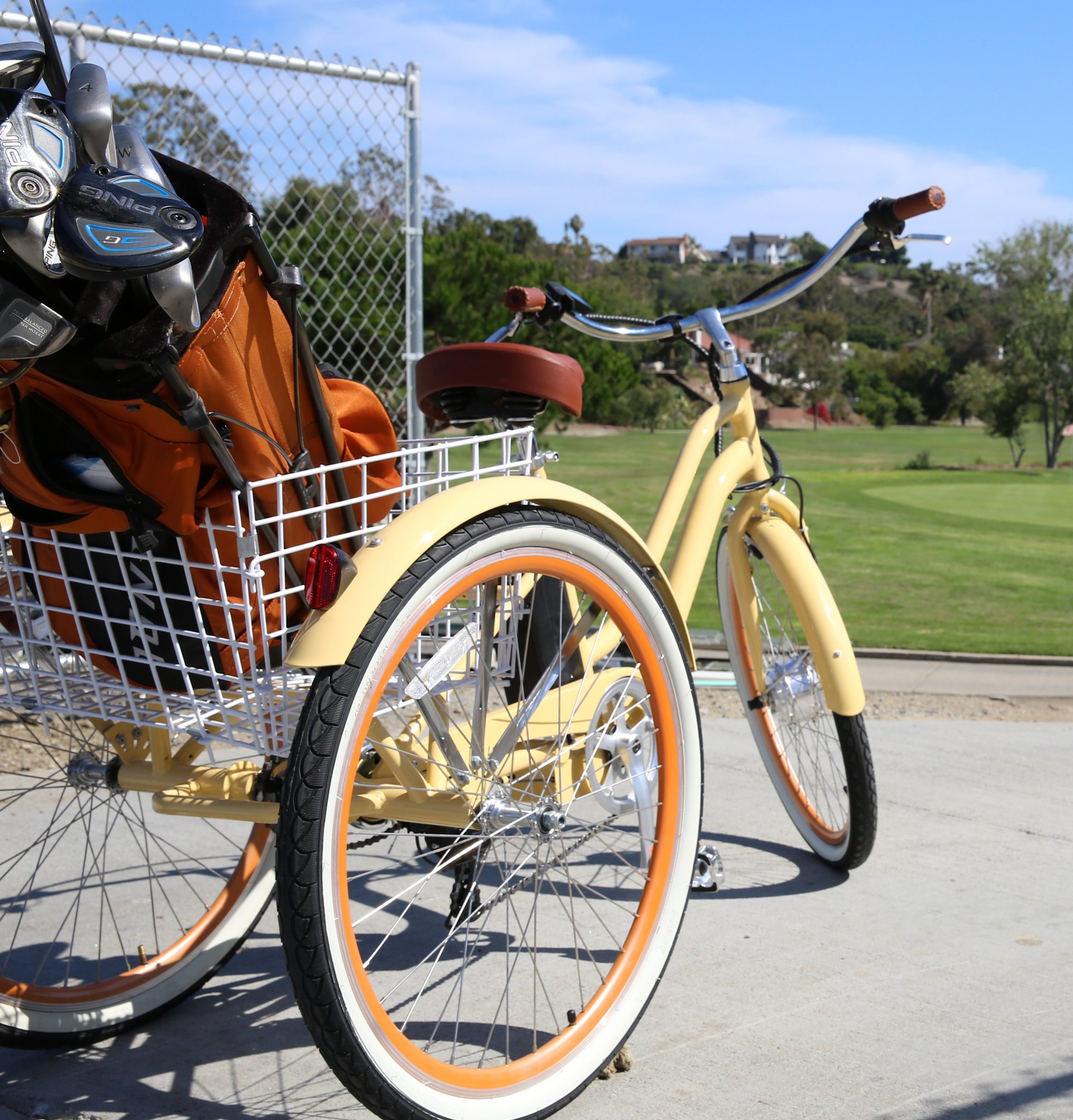 8 Best Electric Step-Through Bikes for Knee Replacements | Comfort and ...