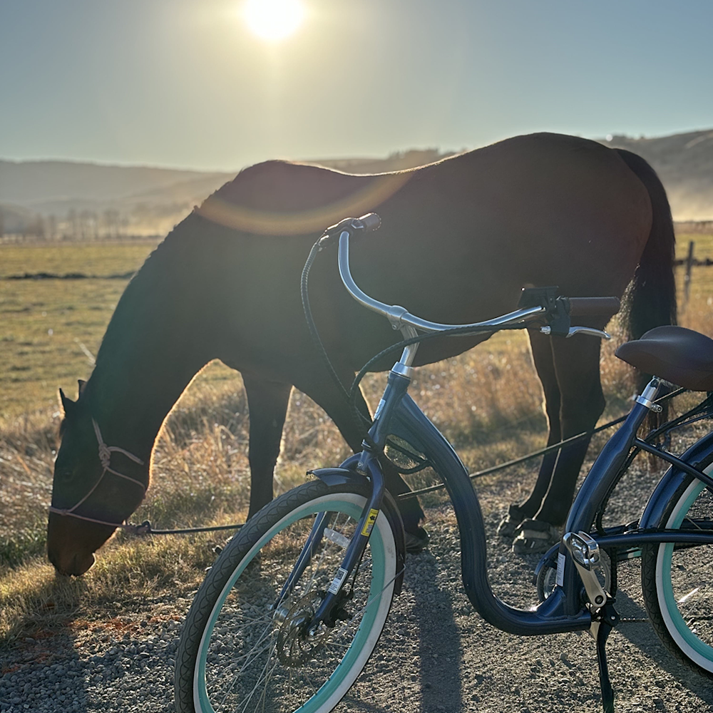 Unleash the Adventure: 3 Tips for Taking Long E-Bike Rides - Your ...