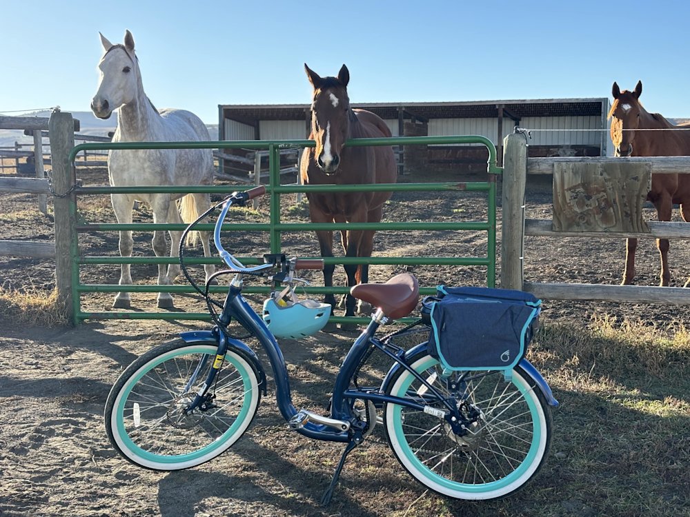 Step-Through EBike for On & Off-Road Adventures: Perfect for Adults ...