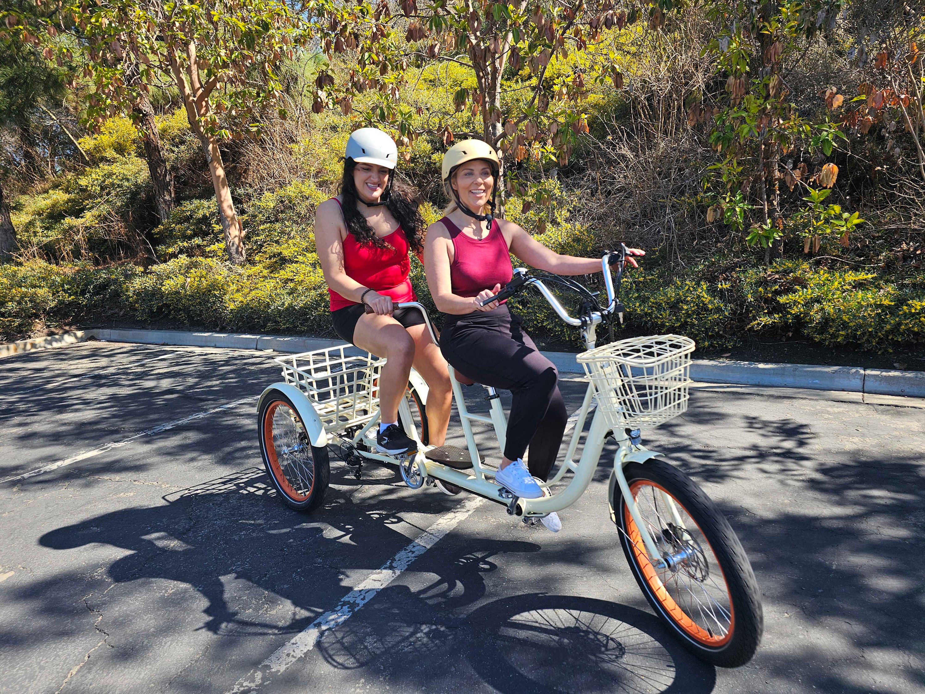 2025’s Best Electric Tandem Trike: The Ultimate E-Bike for Two Riders