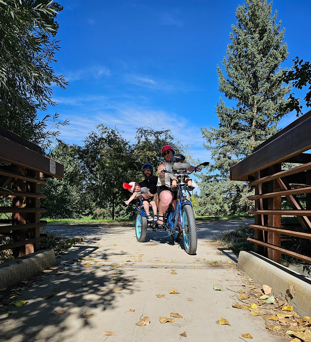 Mastering the Ride: The 8 Most Important Electric Bike Features ...