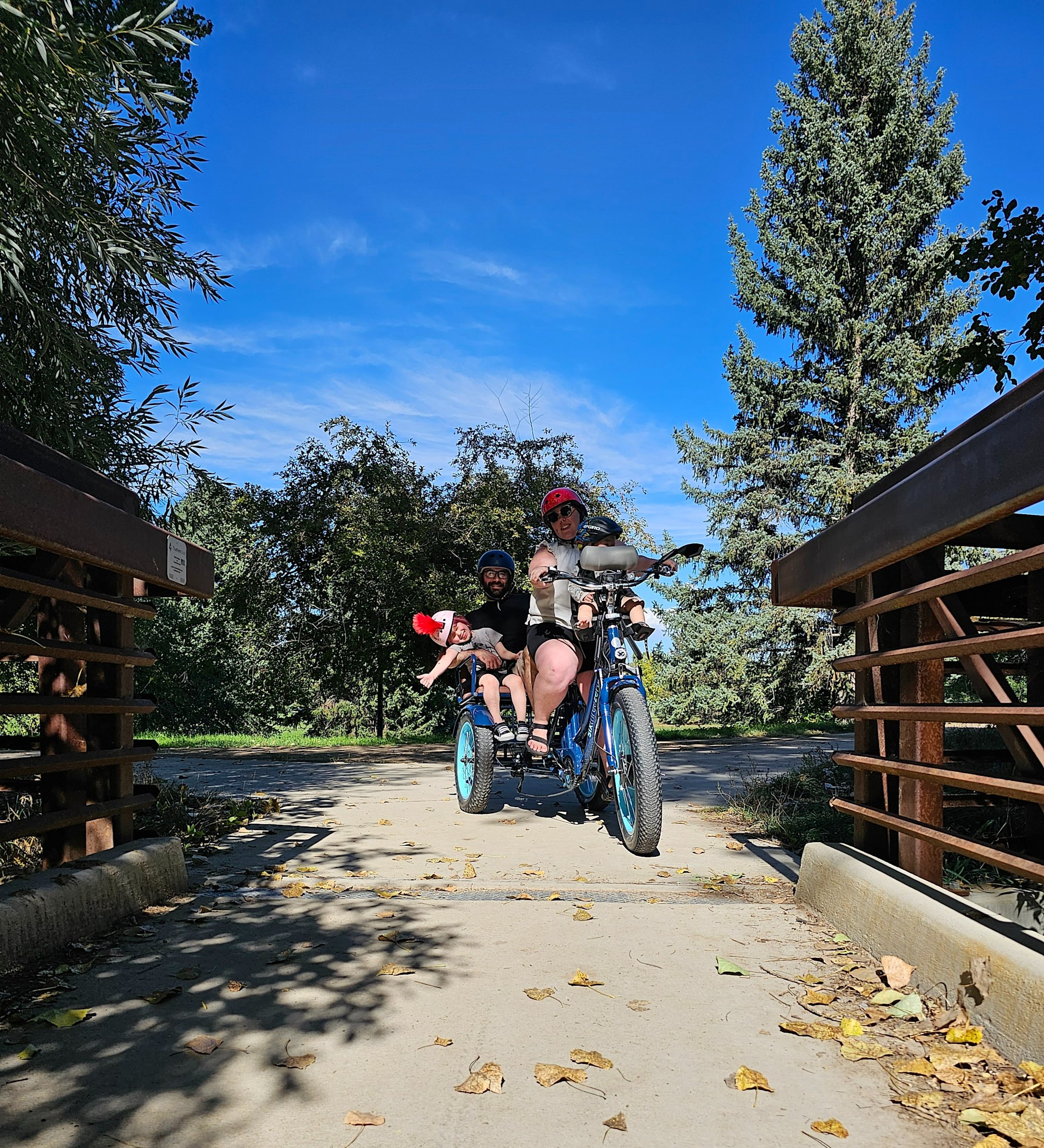 Mastering the Ride: The 8 Most Important Electric Bike Features Unveiled - Your Comprehensive ...