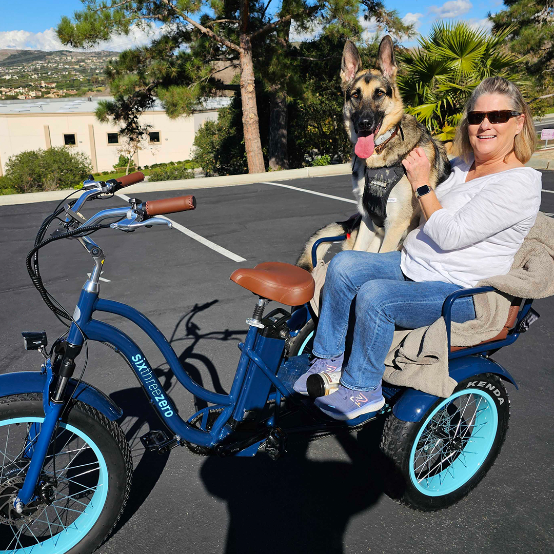 Mastering the Ride: The 8 Most Important Electric Bike Features ...
