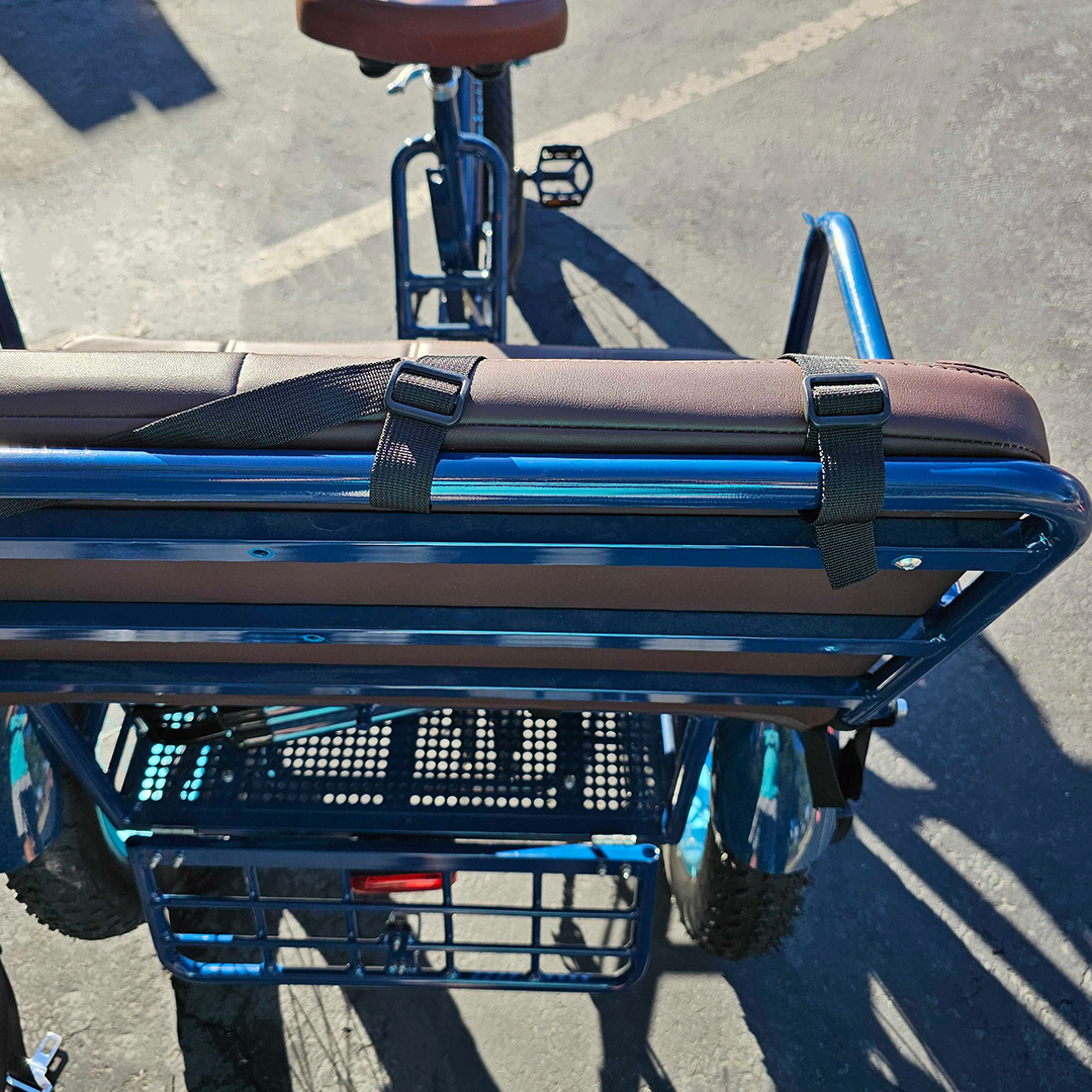 Revolutionizing Family Transport: 3 Wheel Electric Rickshaw Bike for 3 Kids! An ETrike Adventure ...