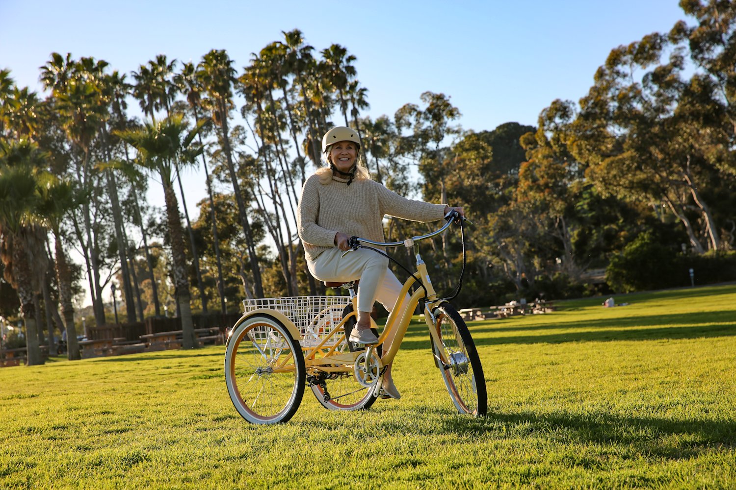 Staying Safe and Upright: Tips for Preventing Your Adult Tricycle or E ...