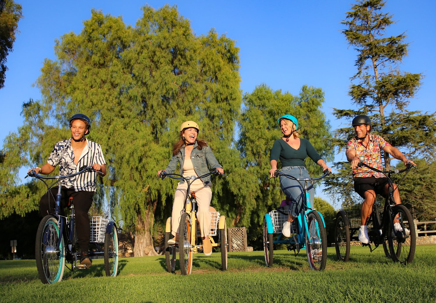 Revolutionary E-Tricycles Under the Spotlight: A Pro's Review and ...