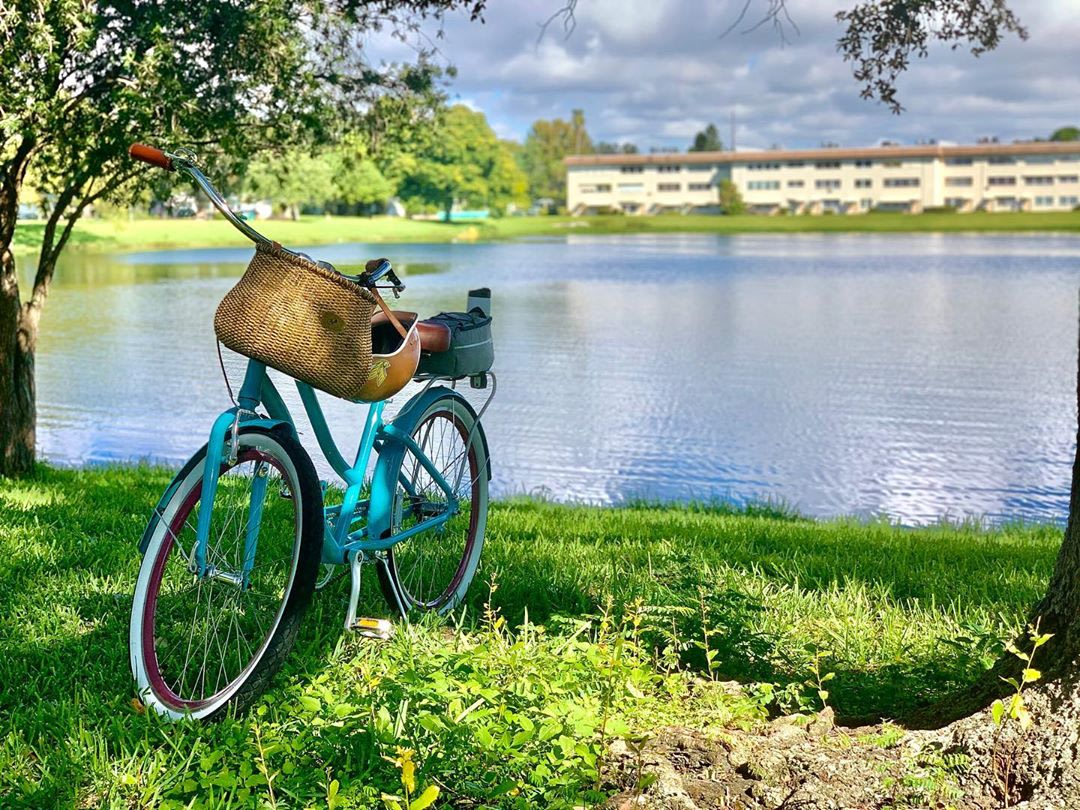 Explore the Versatile sixthreezero Bike Rear Rack Bag for Convenient ...