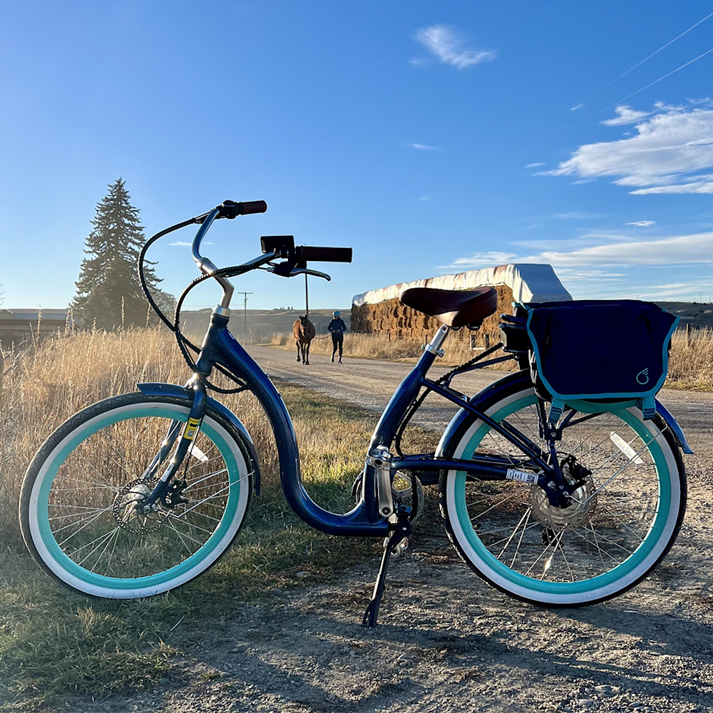 Mastering the Ride: The 8 Most Important Electric Bike Features ...