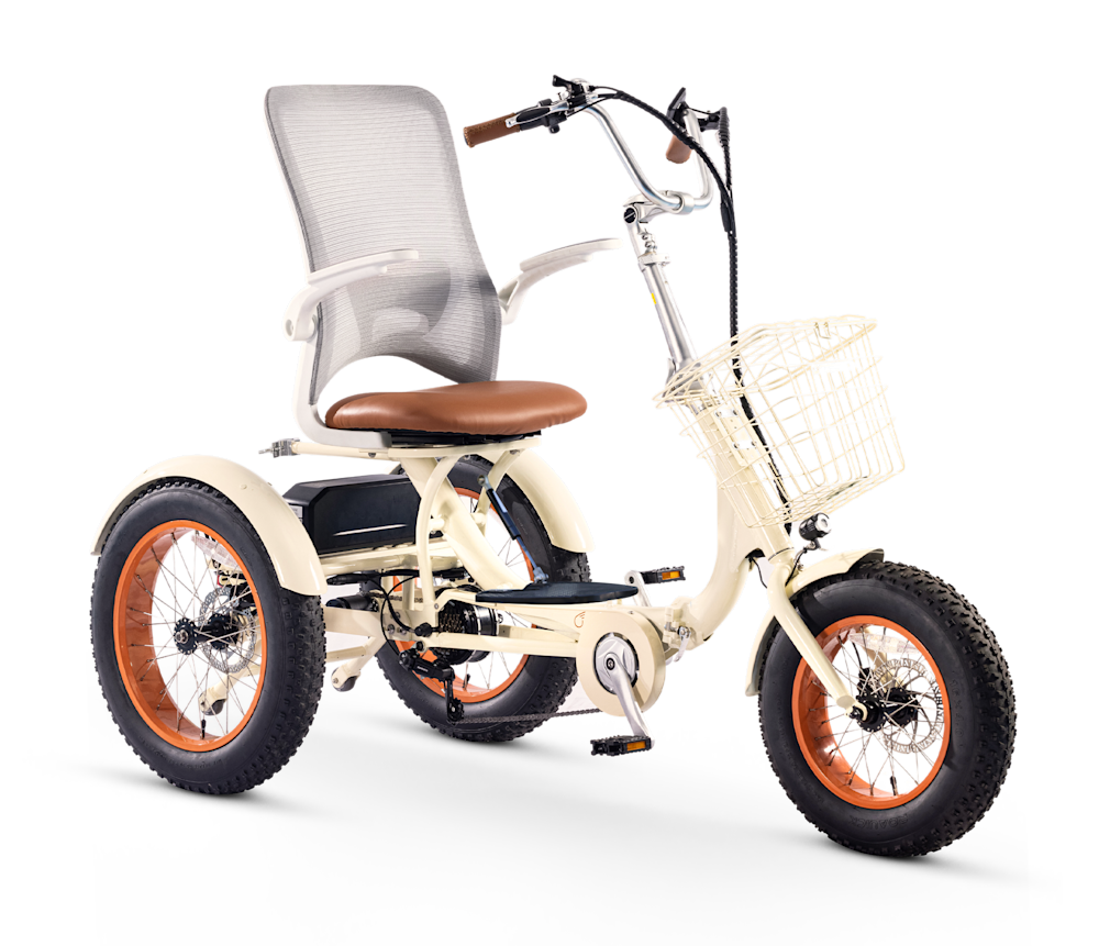 Perfect E-Trike for Seniors | Back Support & Safe Riding