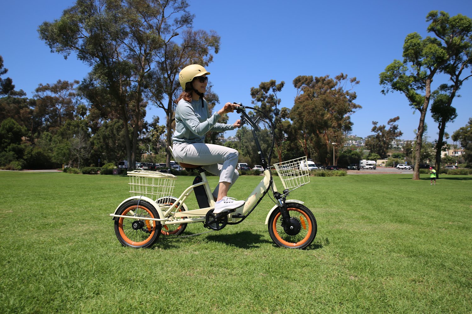 Expert Electric Trike Selections: Top 3 E-Trikes After Trying 30 - The ...