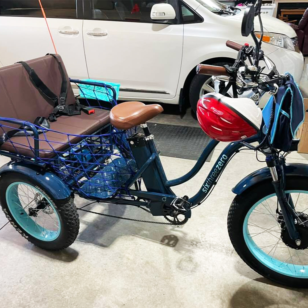 Revolutionize Your Ride with the Latest 2024 Electric Bike Rickshaw ...