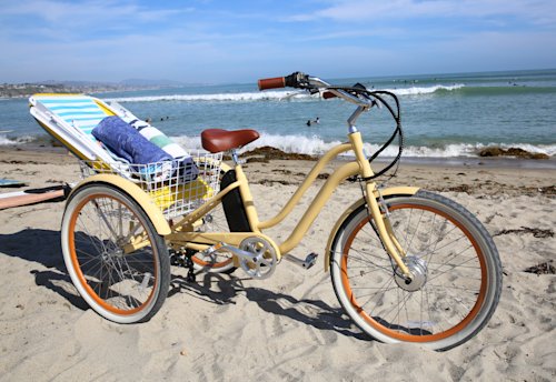 How to Bring Your Dog on a Tricycle Ride - Electric Bike Adventures ...