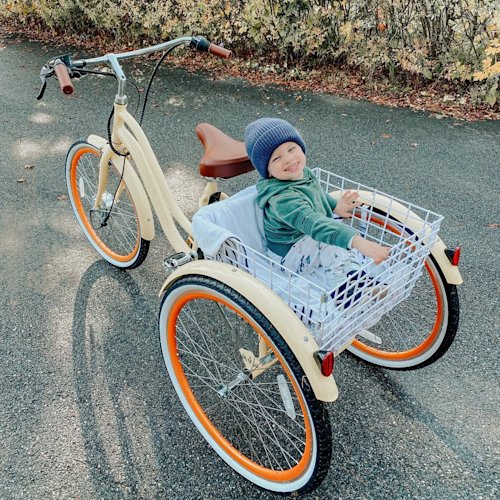 6 Things I Wish I Knew Before Buying a 3-Wheel Electric Bike ...